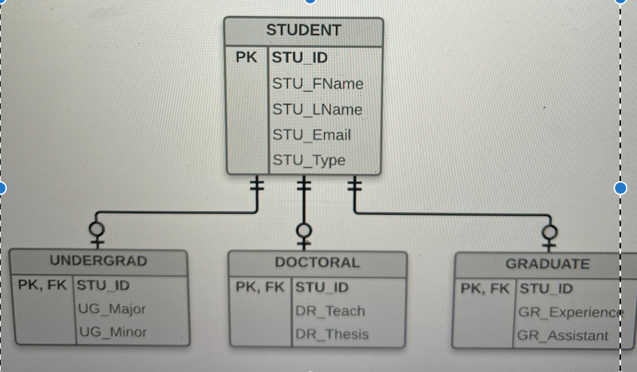 Solved Refer to the following ERD created in Lucidchart that | Chegg.com