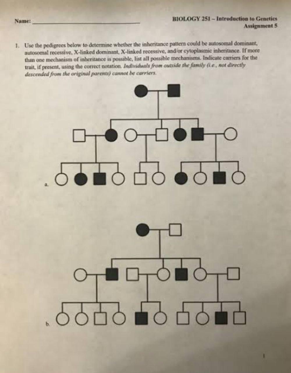 Solved Name: BIOLOGY 251 - Introduction to Genetics | Chegg.com