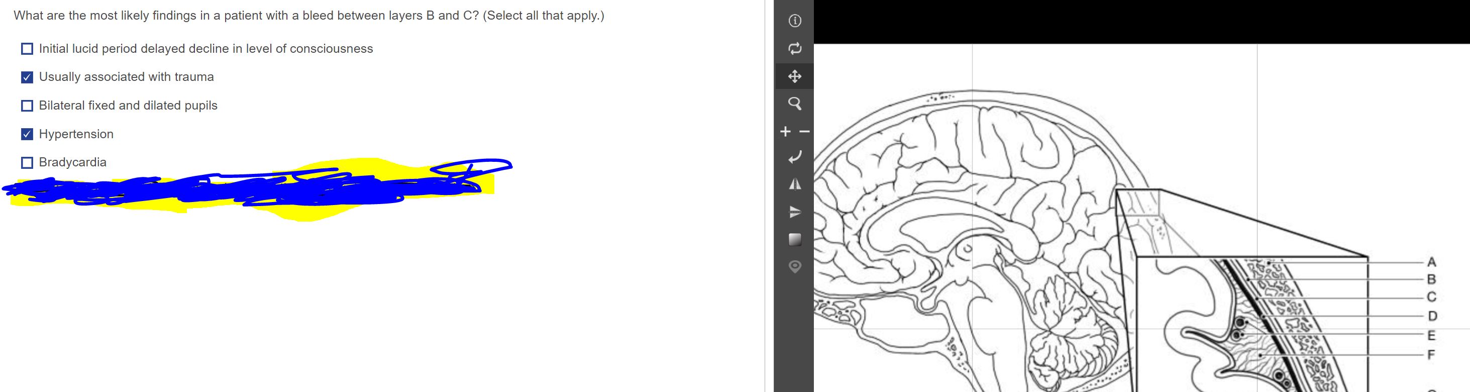 Solved I am not sure what I am looking at I can't find it | Chegg.com