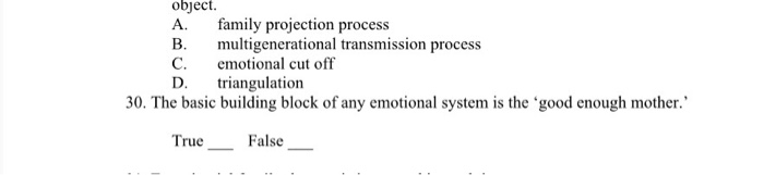 Solved object A. family projection process B. | Chegg.com