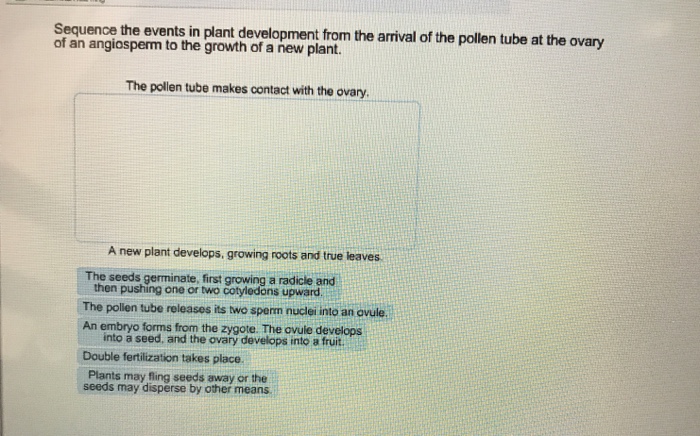 Solved Sequence the events in plant development from the | Chegg.com