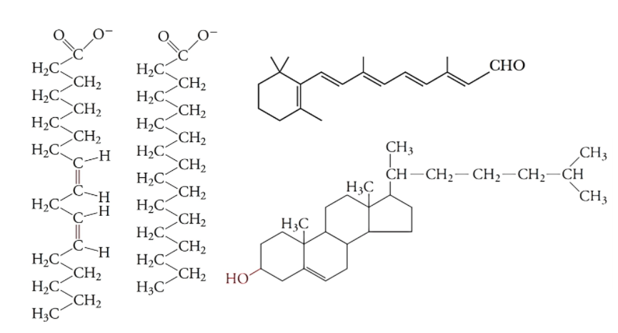 Solved Describe below the structural similarities (if any) | Chegg.com