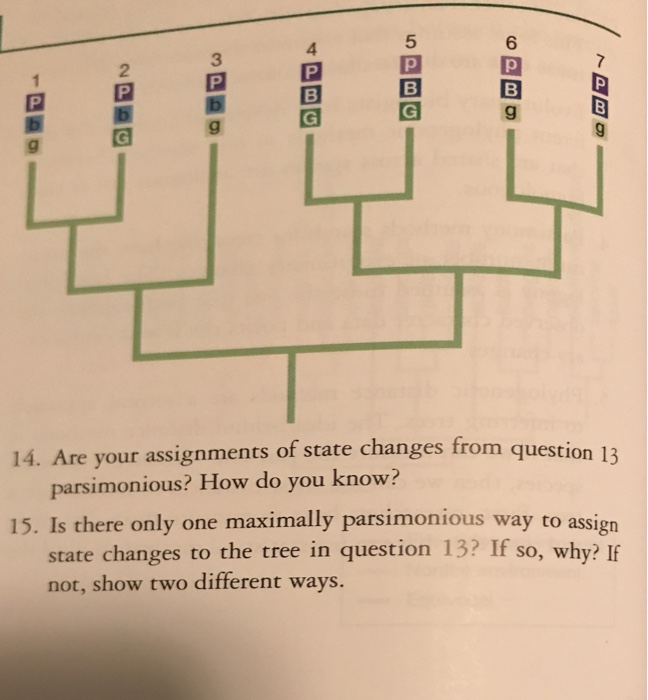 13. Given the tree that follows and the character | Chegg.com