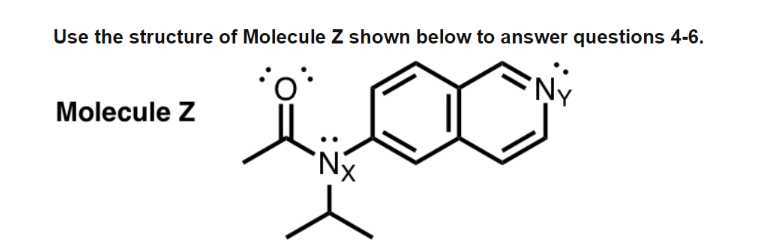 Solved Use the structure of Molecule Z shown below to answer | Chegg.com