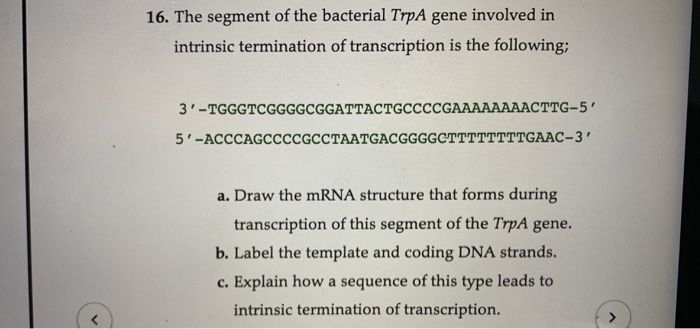 Solved 16. The segment of the bacterial TrpA gene involved | Chegg.com