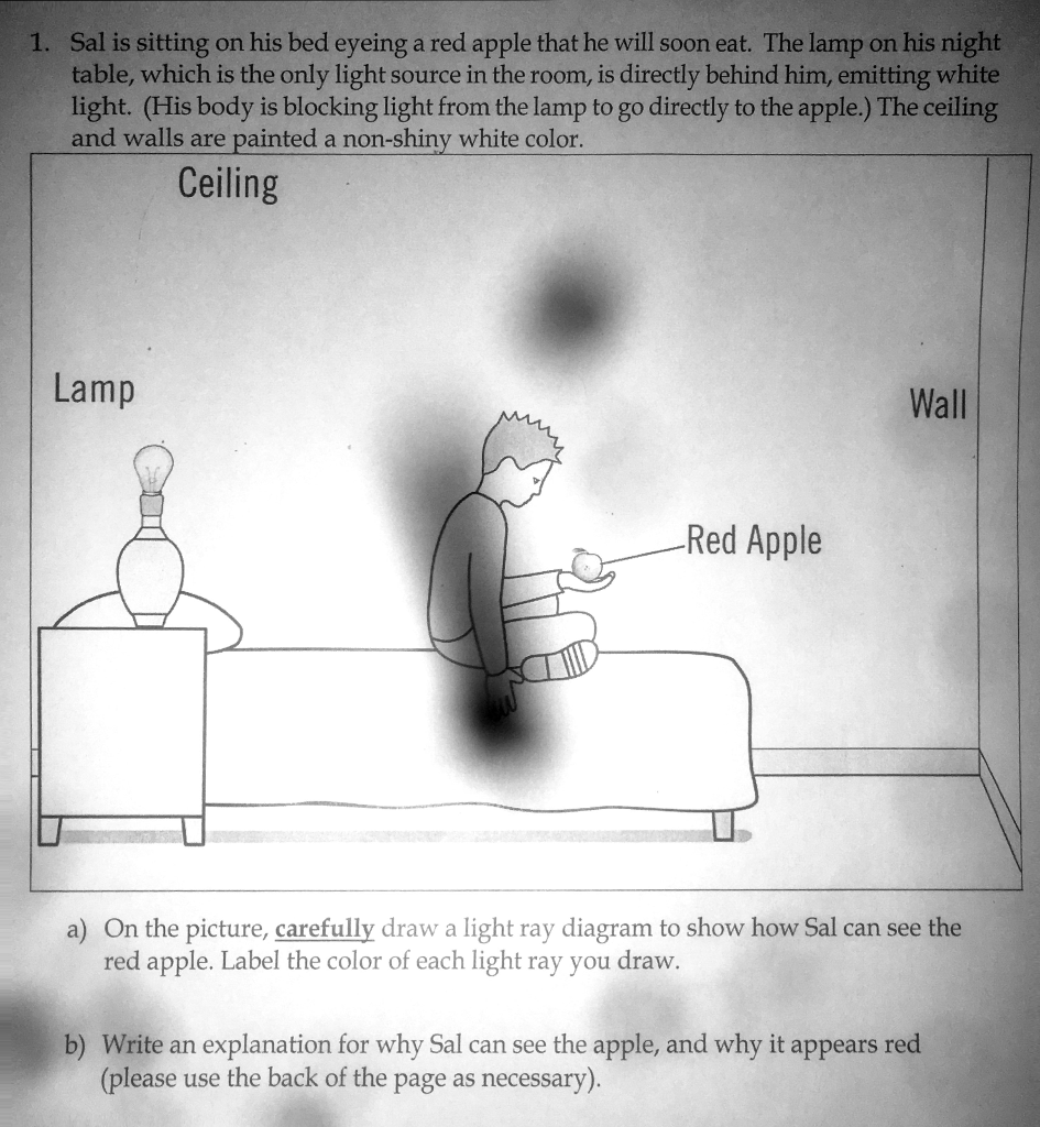 Solved 1 Sal Is Sitting On His Bed Eyeing A Red Apple That Chegg