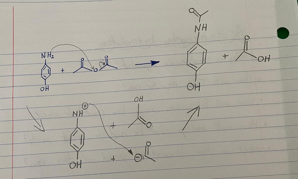 Solved Did I draw this right? Acetaminophen | Chegg.com