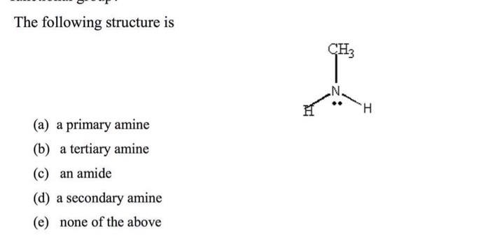 Solved The following structure is (a) a primary amine (b) | Chegg.com