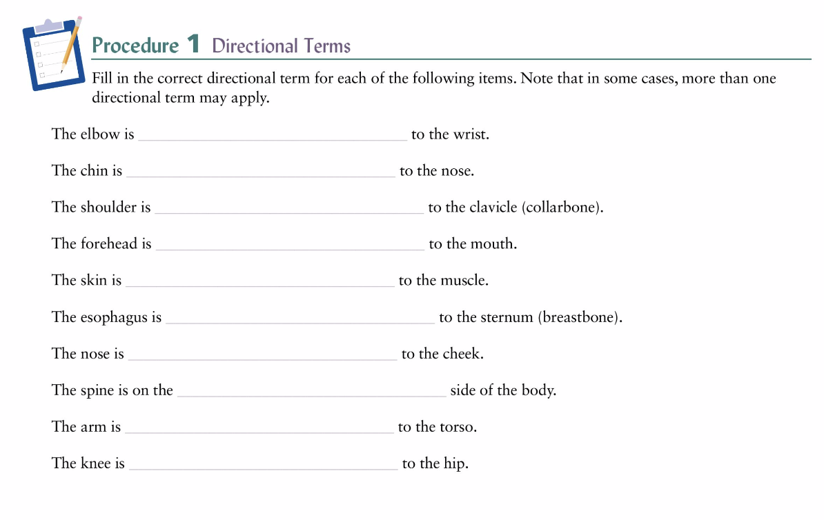 Solved Procedure 1 Directional Terms Fill in the correct | Chegg.com