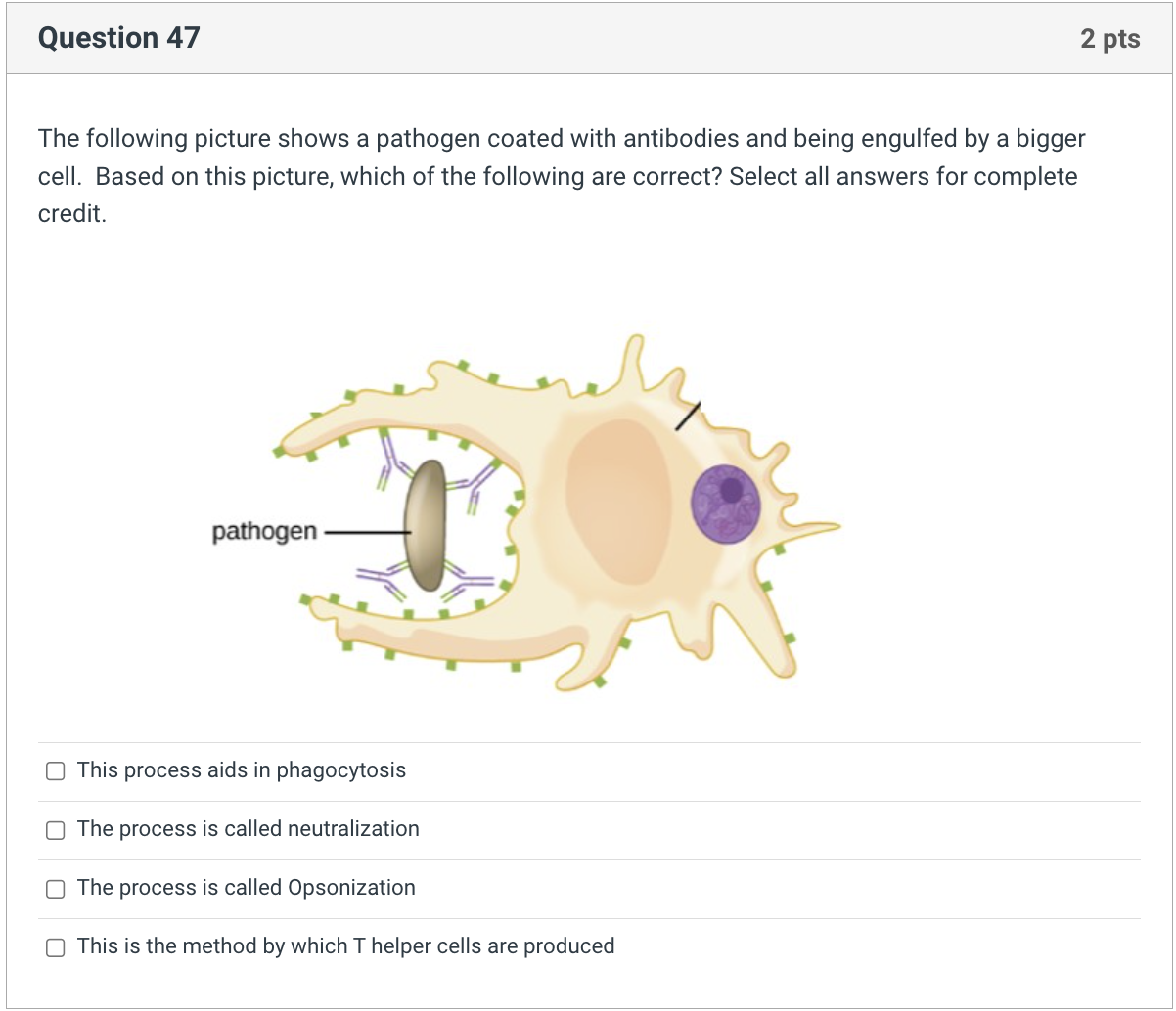 Solved The following picture shows a pathogen coated with | Chegg.com