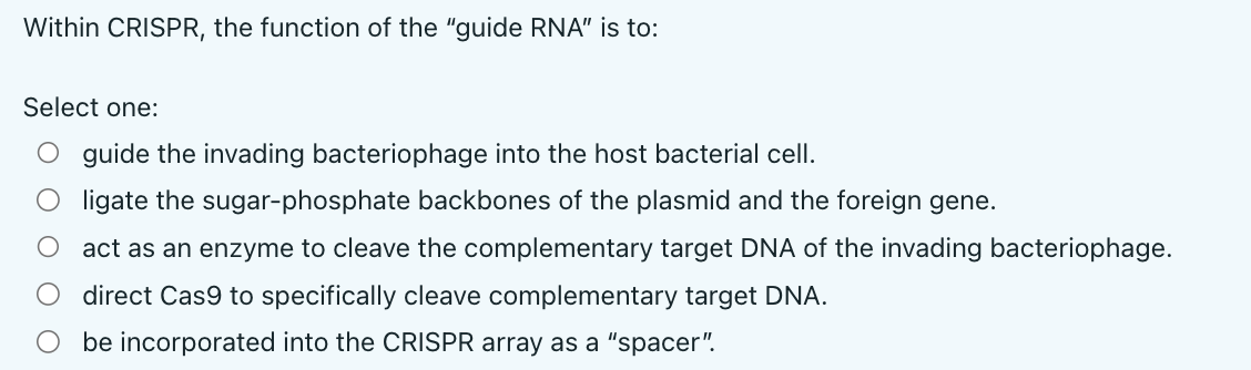 Solved Within CRISPR, the function of the "guide RNA" is to: | Chegg.com