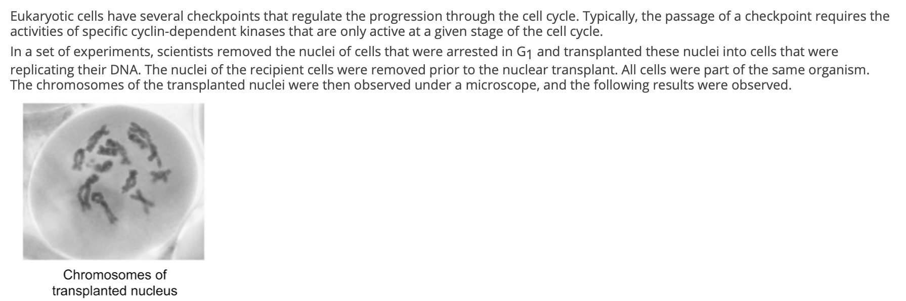 Solved Reference Image Based on your understanding of the | Chegg.com
