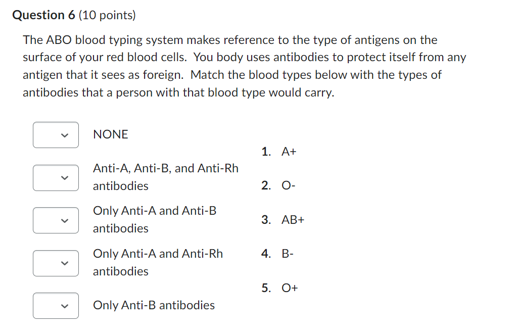 Solved Question 6 (10 points) The ABO blood typing system | Chegg.com