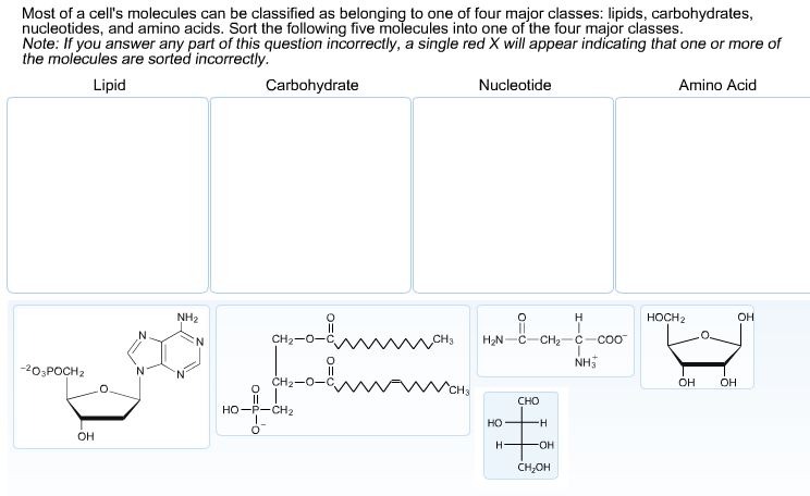 Lipids Concept Map Mcgraw Hill