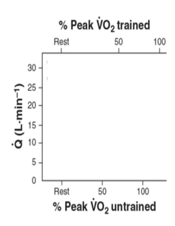 Solved Show the response of cardiac output(Q) and % Peak VO2 | Chegg.com