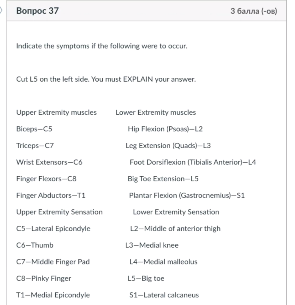 Solved 2 Вопрос 37 3 балла (-ов) Indicate the symptoms if | Chegg.com