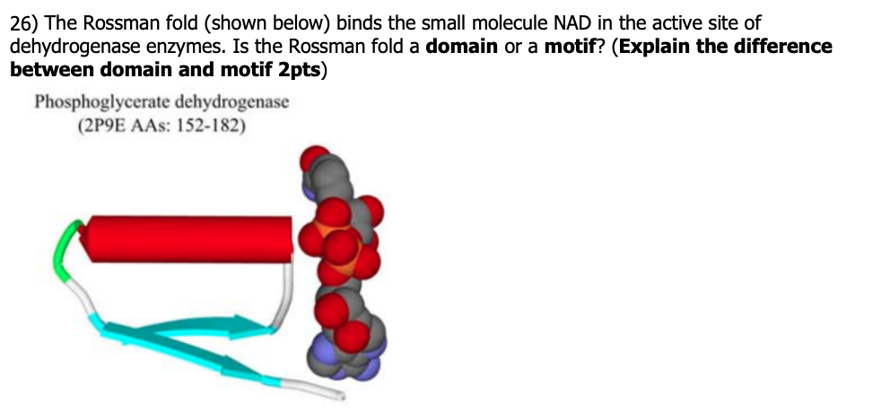 Solved 26) The Rossman fold (shown below) binds the small | Chegg.com