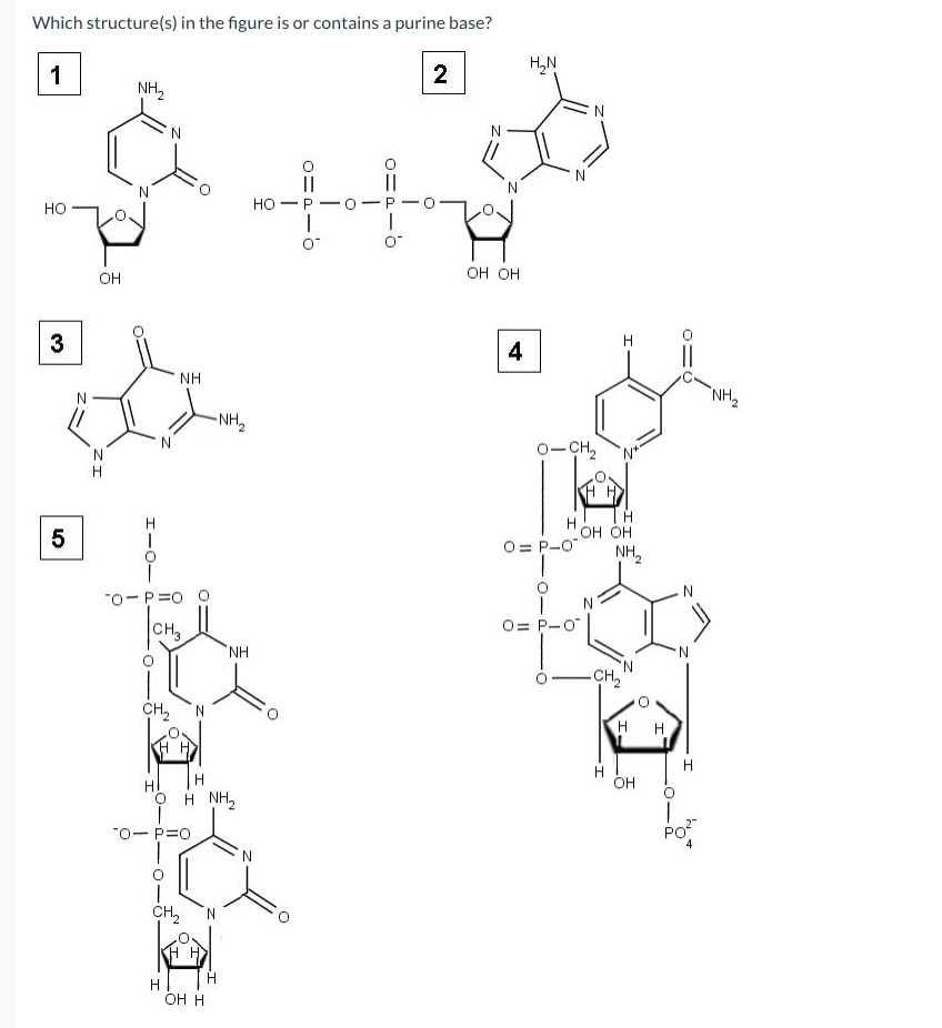 Solved Which structure(s) in the figure is or contains a | Chegg.com