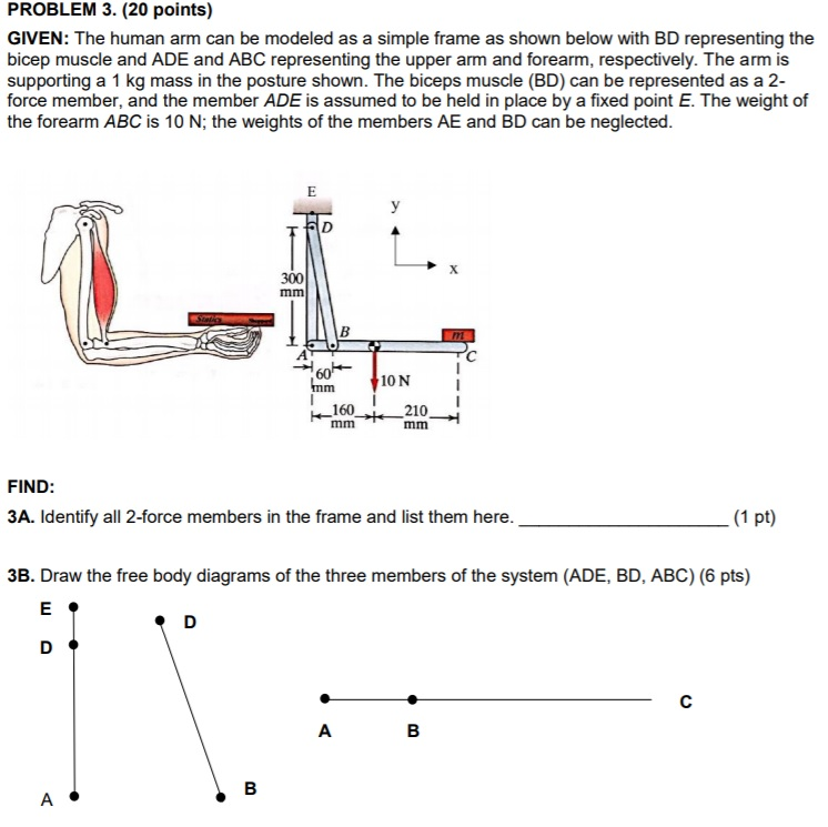Solved PROBLEM 3. (20 points) GIVEN: The human arm can be | Chegg.com