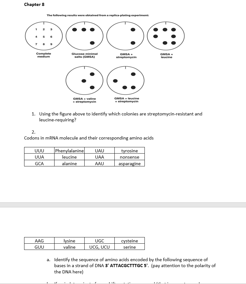 Solved Chapter 8 The following results were obtained from a | Chegg.com