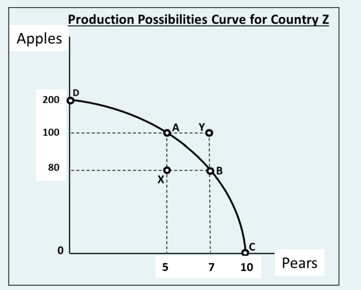 Solved In the form of a paragraphDescribe the production | Chegg.com