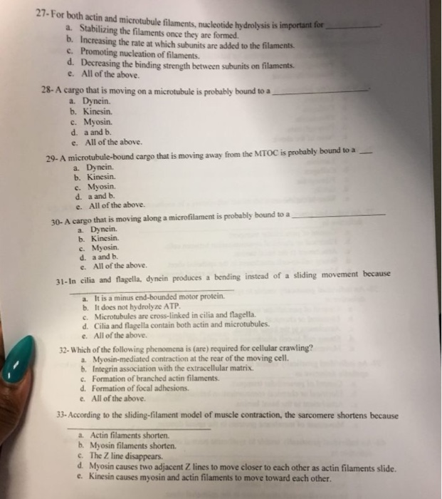 Solved 27-For both actin and microtubule filaments, | Chegg.com