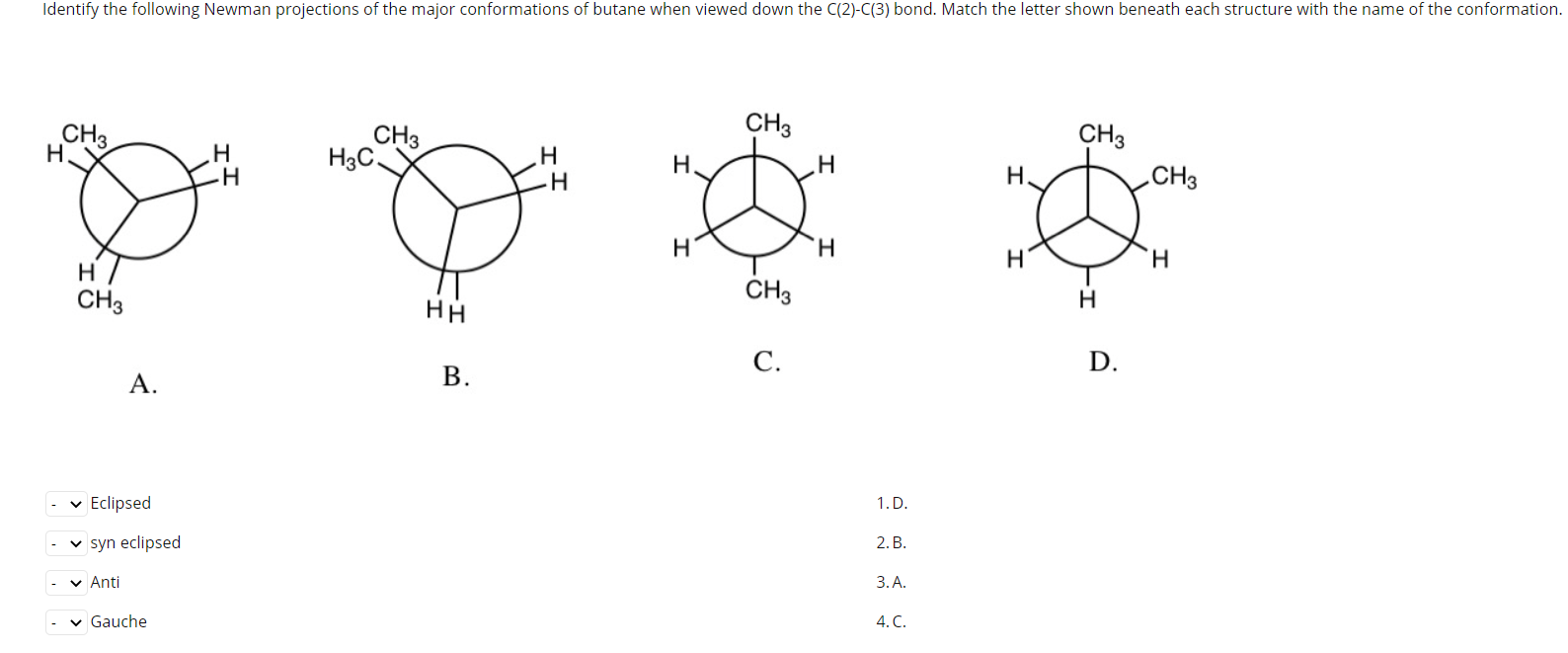Solved Identify the following Newman projections of the | Chegg.com