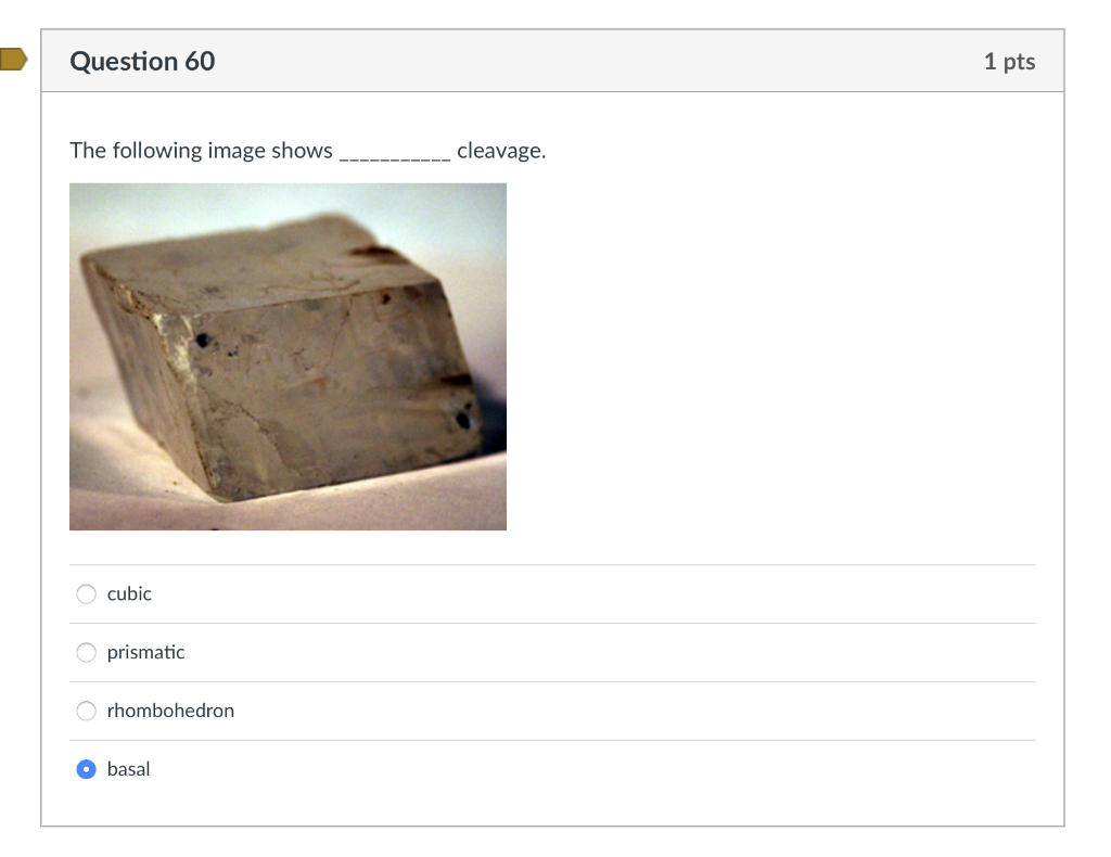 Solved Question 60 1 pts The following image shows_cleavage. | Chegg.com