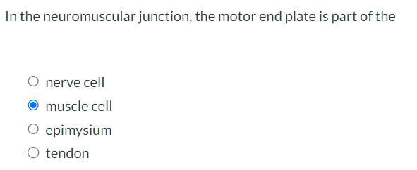Solved In the neuromuscular junction, the motor end plate is | Chegg.com