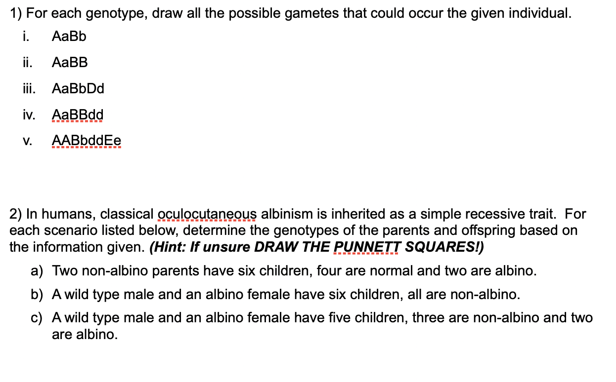 Solved 1) For each genotype, draw all the possible gametes | Chegg.com