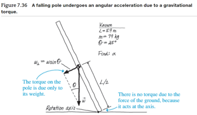 Solved Figure 7.36 A falling pole undergoes an angular | Chegg.com