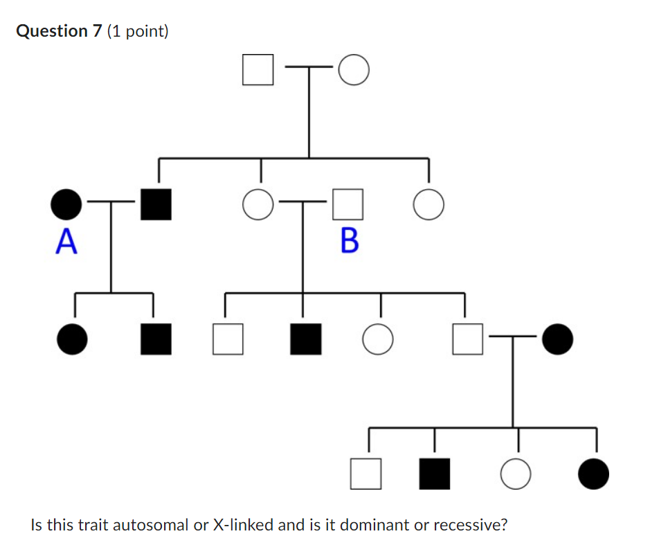 Solved A. Autosomal, dominant B. X-Linked, recessive C. | Chegg.com