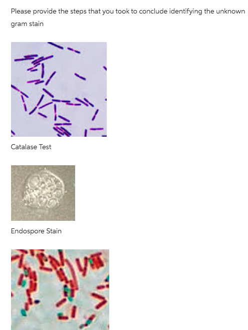 Solved Please provide the steps that you took to conclude | Chegg.com