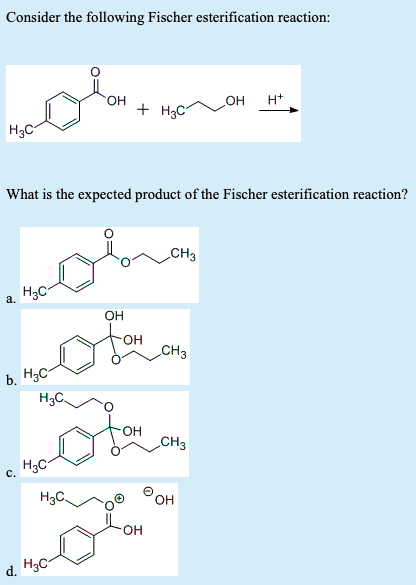 Solved Consider the following Fischer esterification | Chegg.com