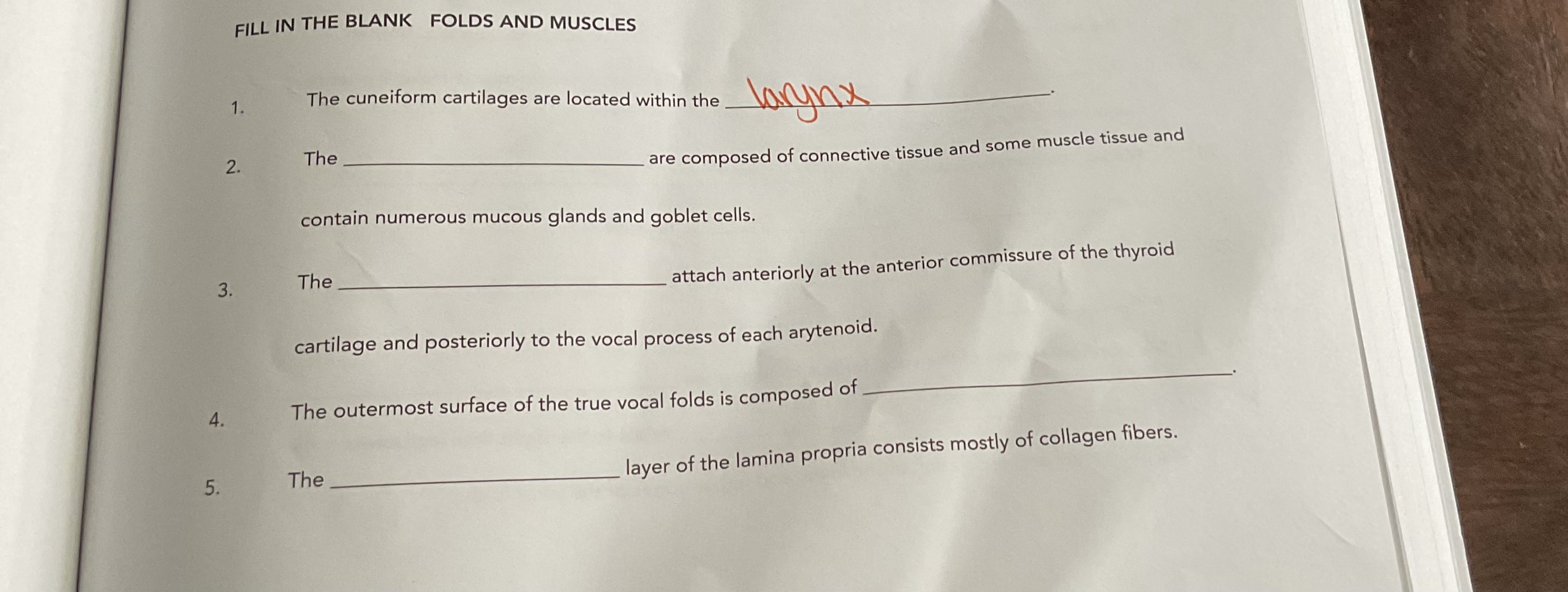 FILL IN THE BLANK FOLDS AND MUSCLES 1. The cuneiform | Chegg.com