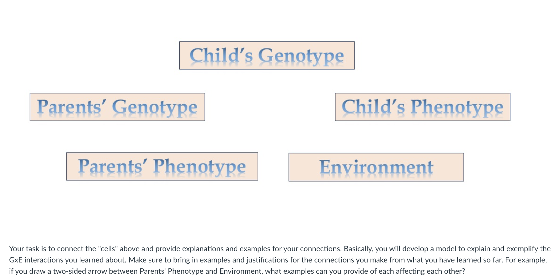 Solved Child's PhenotypeYour task is to connect the "cells" | Chegg.com