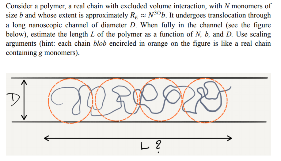 Consider a polymer, a real chain with excluded volume | Chegg.com