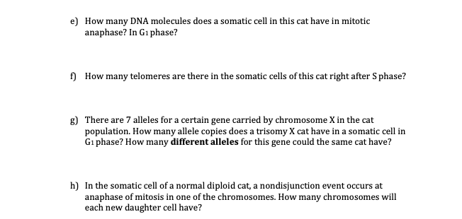 Solved Problem 1 Cats have 19 pairs of chromosomes.e) How | Chegg.com