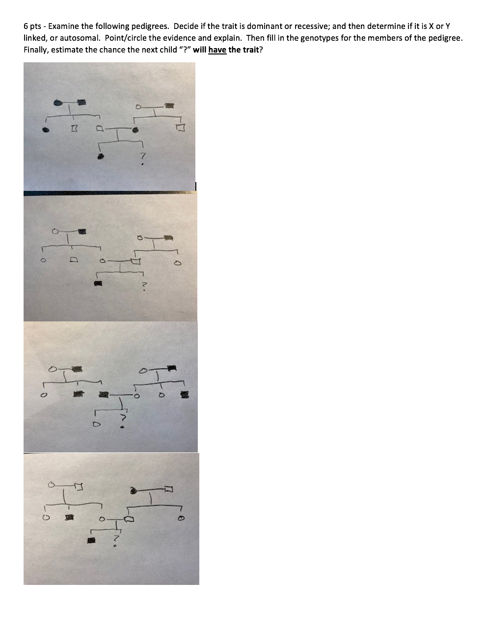 Solved 6 pts - Examine the following pedigrees. Decide if | Chegg.com Solved 6 pts - Examine the following pedigrees. Decide if | Chegg.com