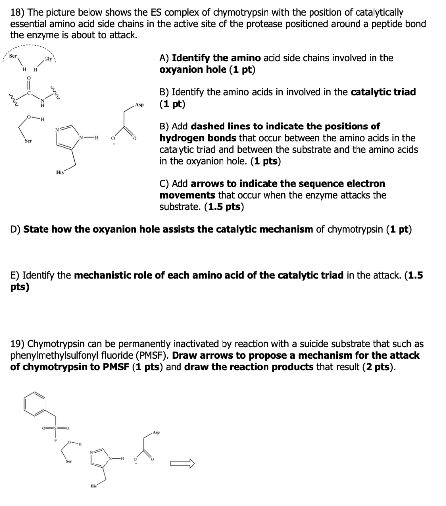 Solved 18) The picture below shows the ES complex of | Chegg.com