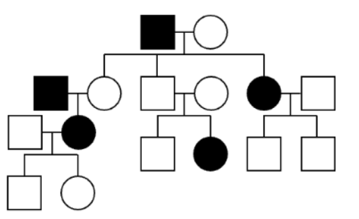 Solved Match the pedigree with the most likely inheritance | Chegg.com