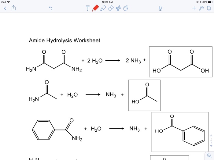 Solved Pad 12:23 AM @*80%.- Amide Hydrolysis Worksheet + 2 | Chegg.com