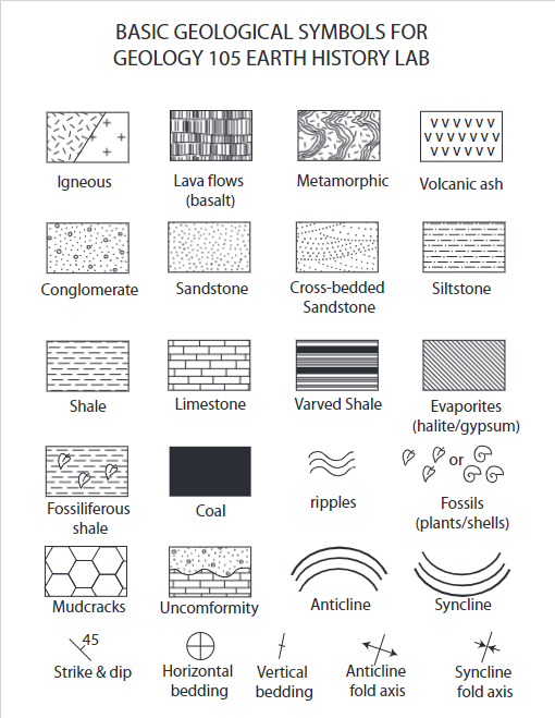 Solved Refer to the following geologic cross-sections (A-D) | Chegg.com