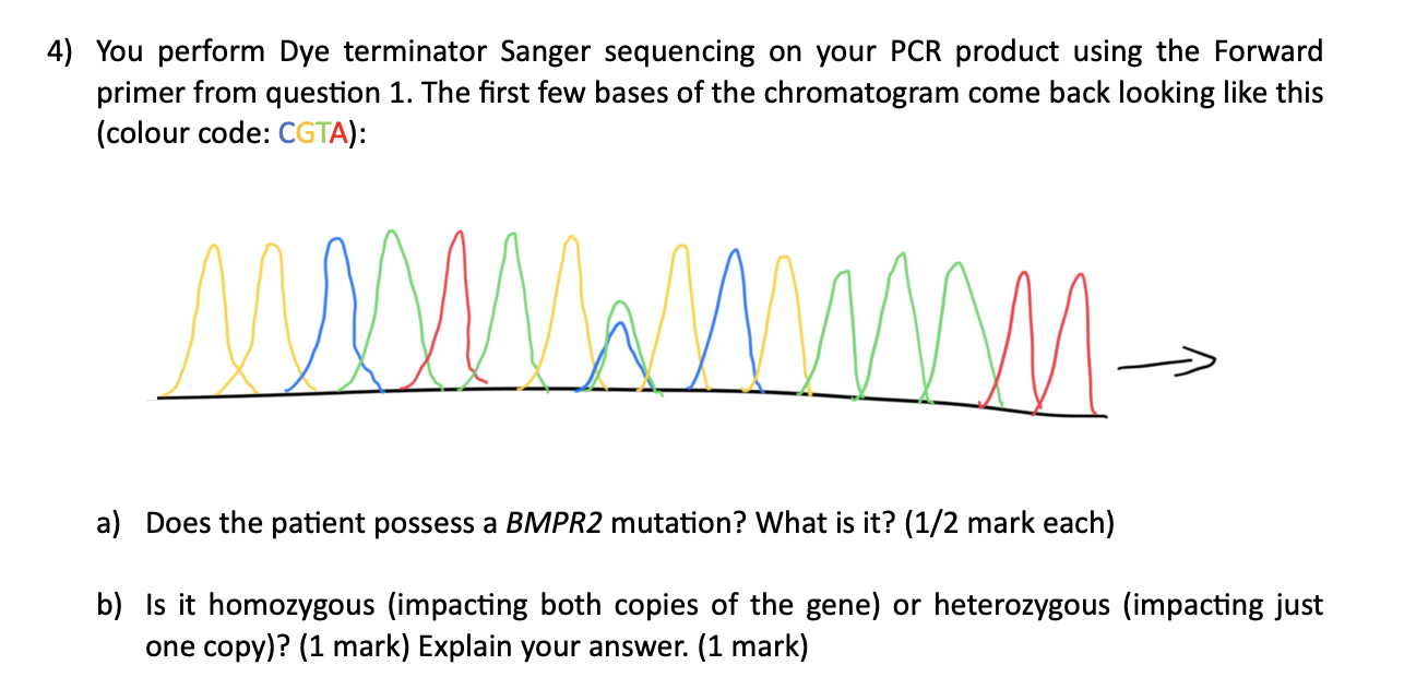 Solved You perform Dye terminator Sanger sequencing on your | Chegg.com