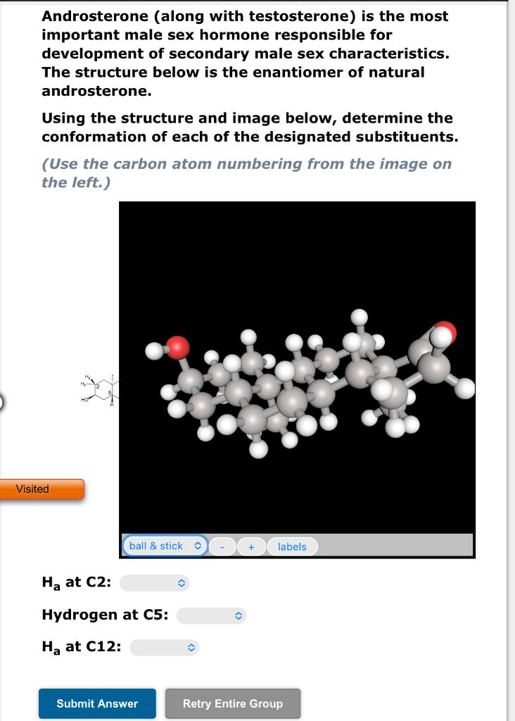 Solved Androsterone (along with testosterone) is the most | Chegg.com