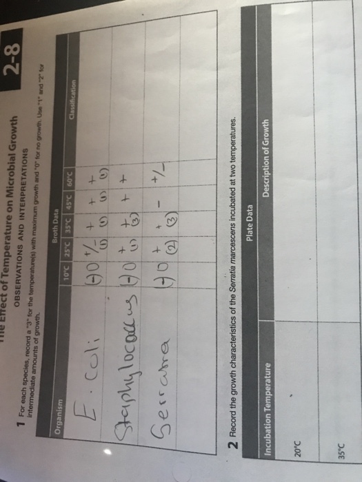 Solved he Effect of Temperature on Microbial Growth | Chegg.com