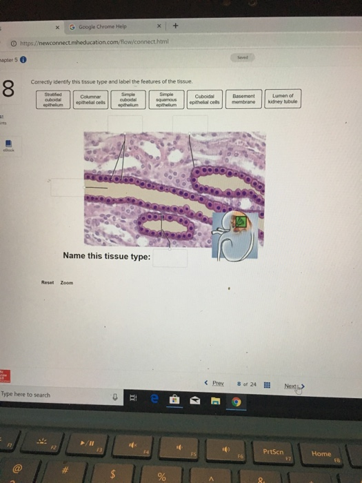 Solved xG Google Chrome Help tml O | Chegg.com