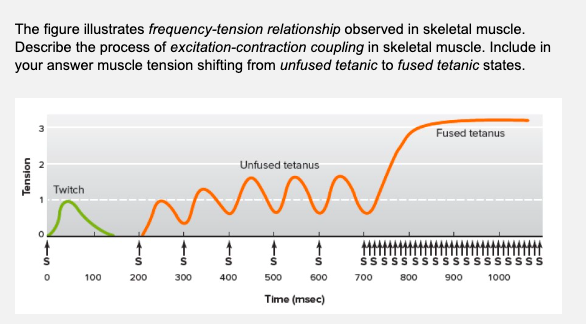 Solved The figure illustrates frequency-tension relationship | Chegg.com