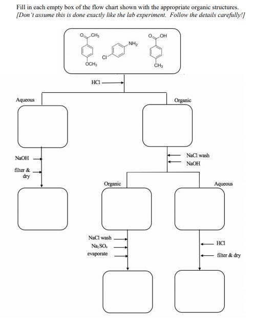 Solved Fill in each empty box of the flow chart shown with | Chegg.com