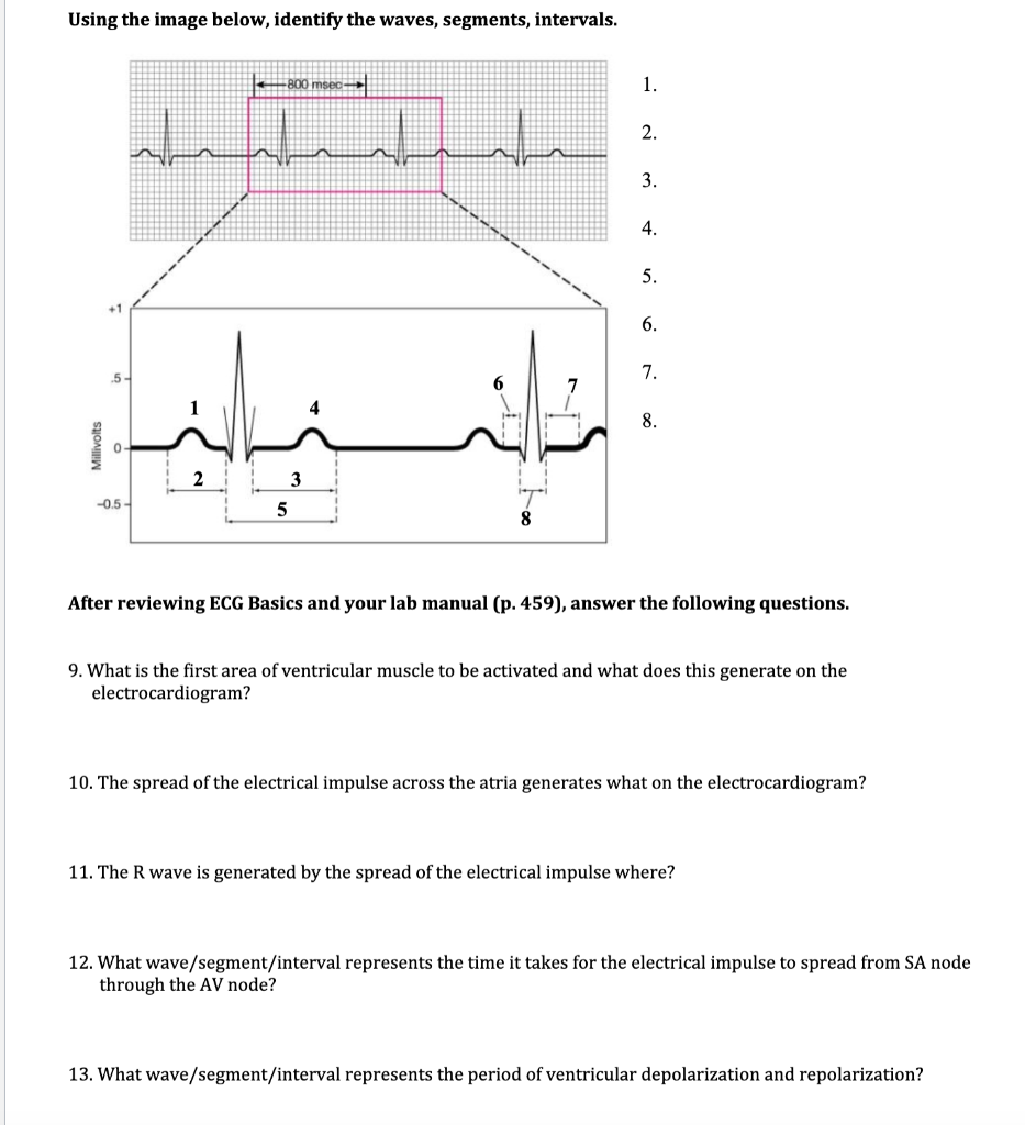 Solved Using the image below, identify the waves, segments, | Chegg.com